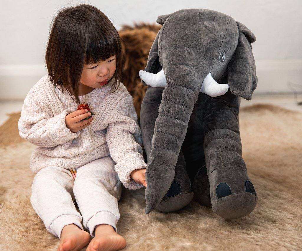 Weighted Toy Cuddle Companion – Koala Comforts